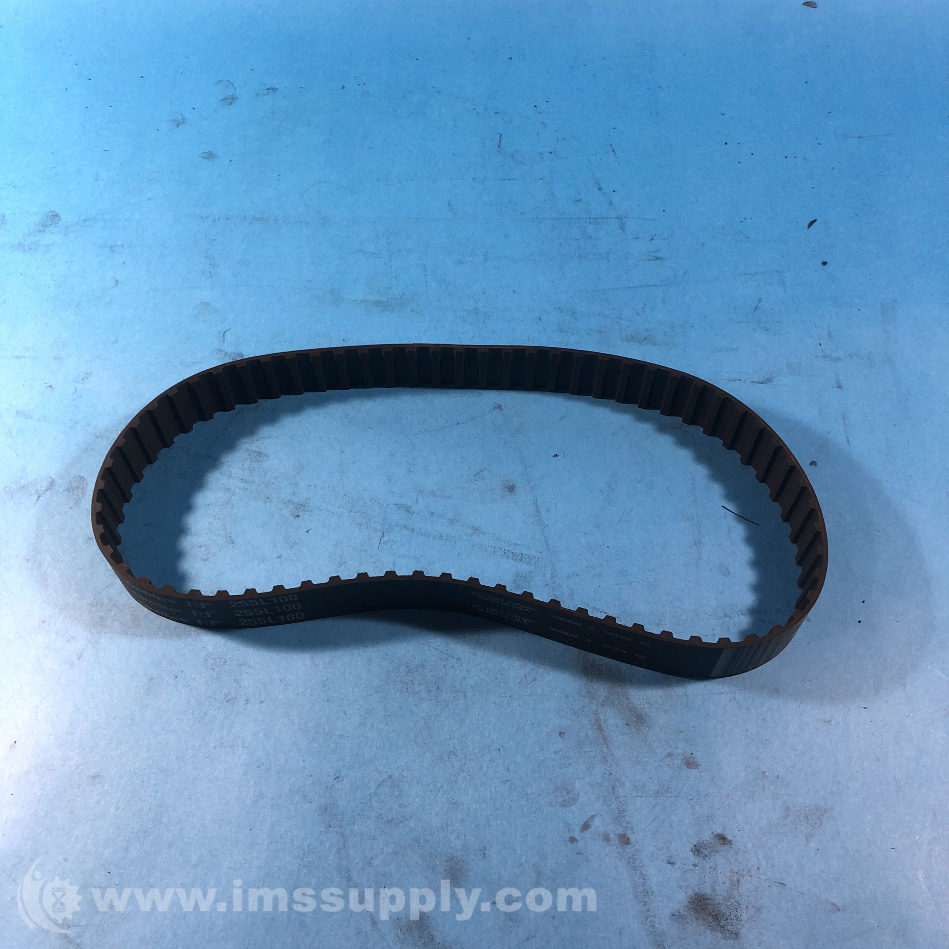 Contitech 255L100 POSI Drive Belt - IMS Supply