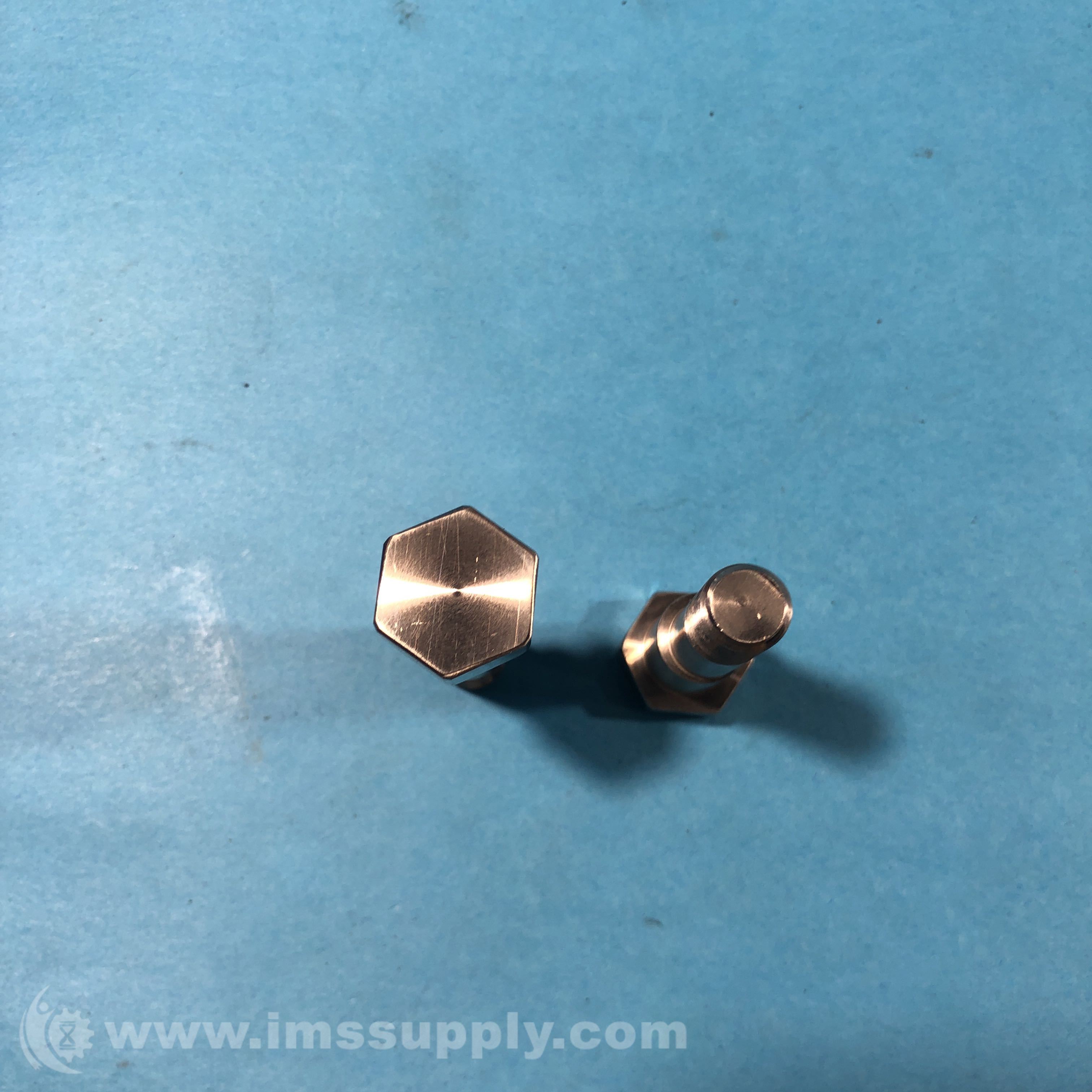 1072123 Pack of 2 Stainless Steel Hex Head Eccentric Bolts - IMS Supply