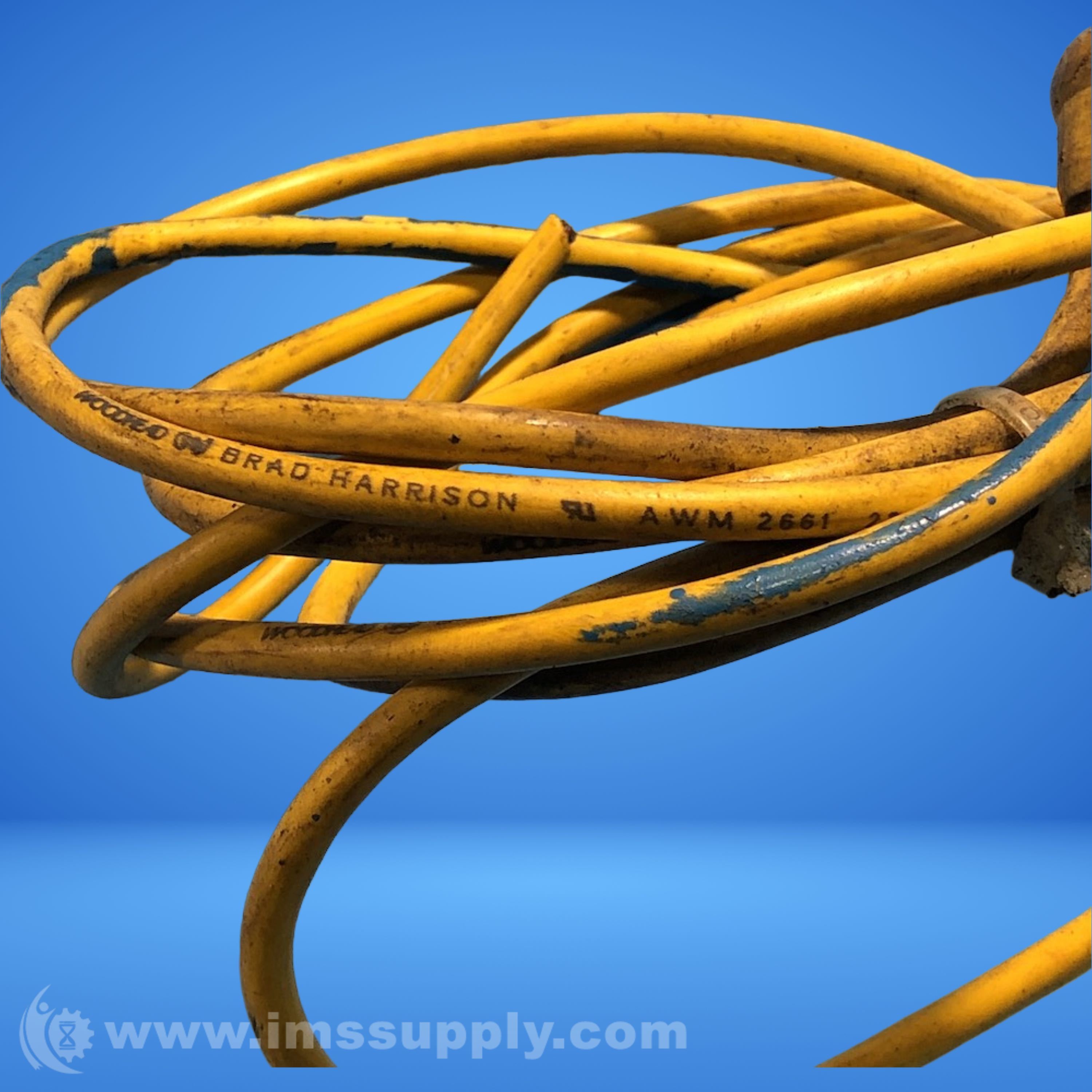 Woodhead Brad Yellow Mini Cordset - IMS Supply