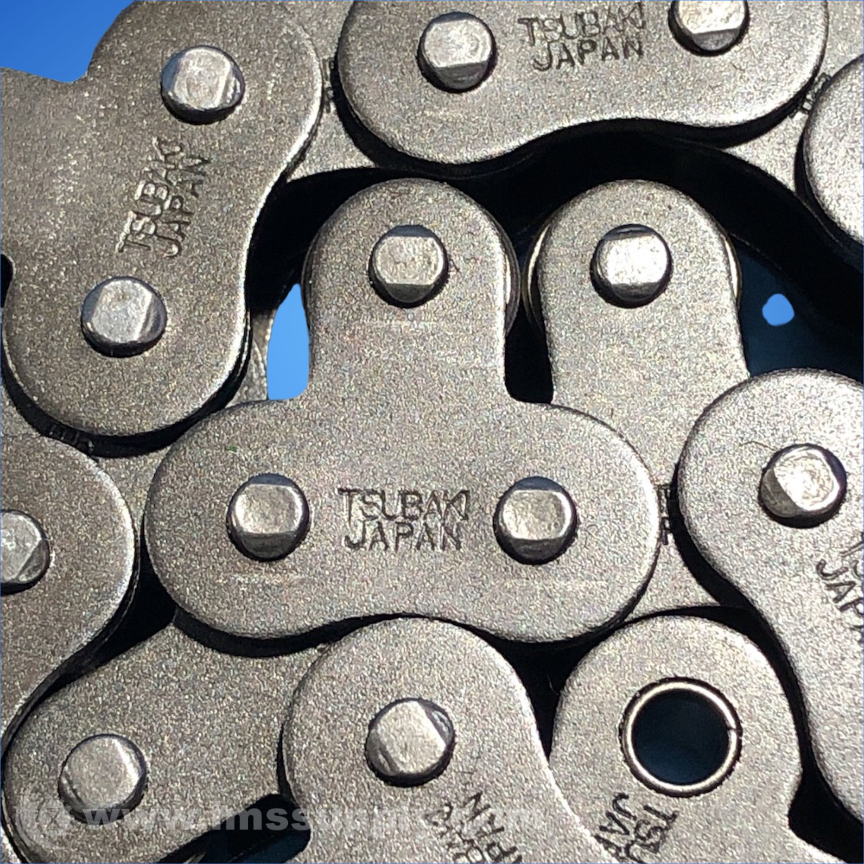 Tsubaki Chain Co. RS40-1-1LTR-66L - IMS Supply