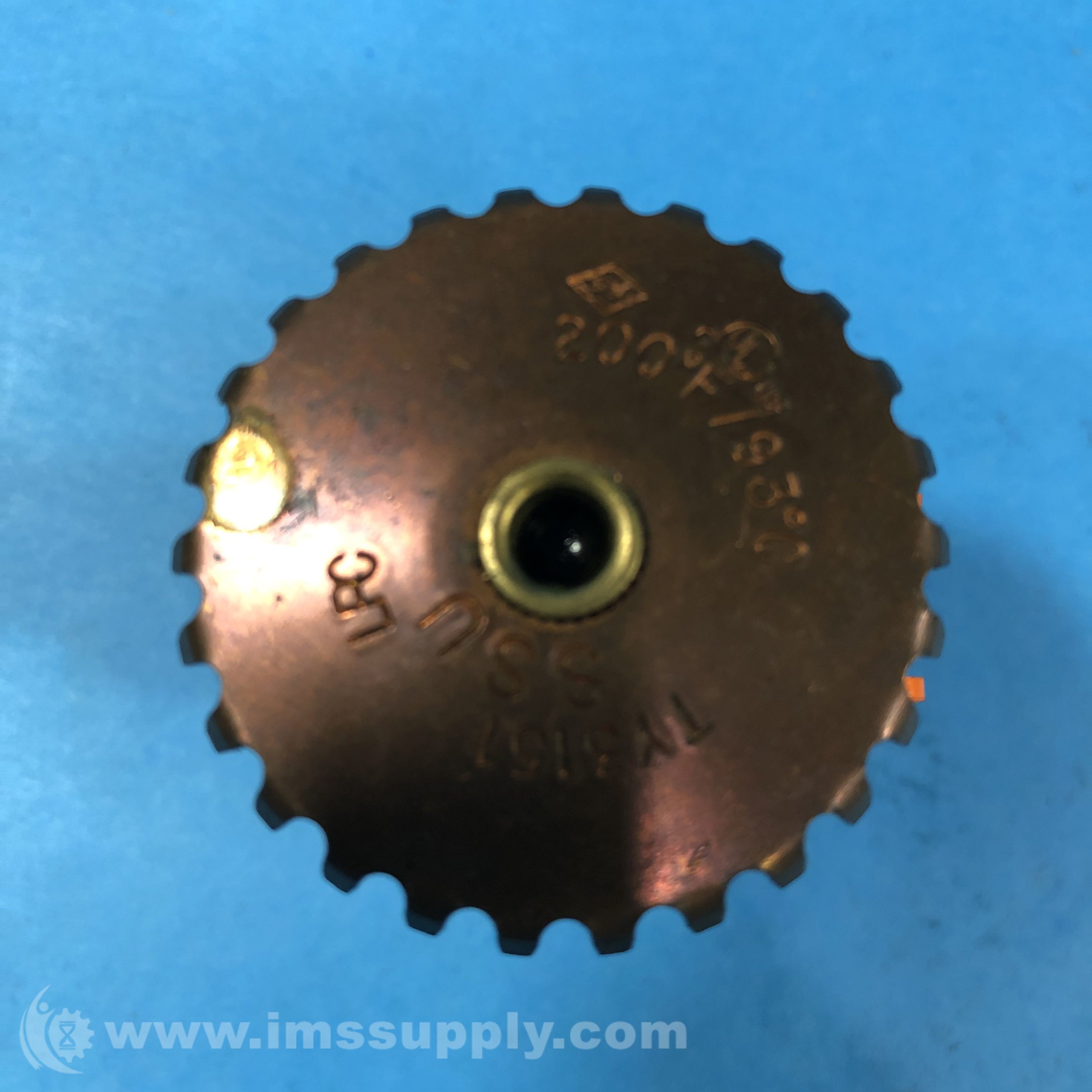 Tyco TY3151 Sprinkler Head, 155 Degree F 1/2 in. - IMS Supply