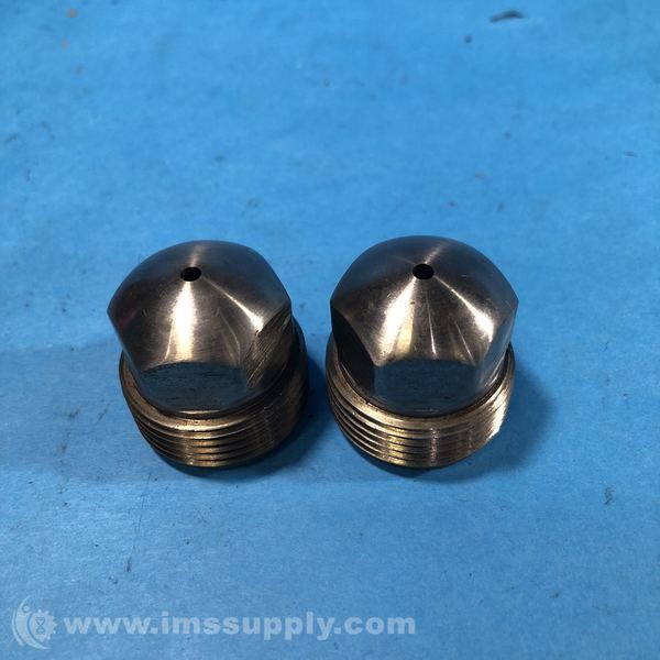Set of 2 Galvanized Threaded Hex Head Cap Nuts - IMS Supply