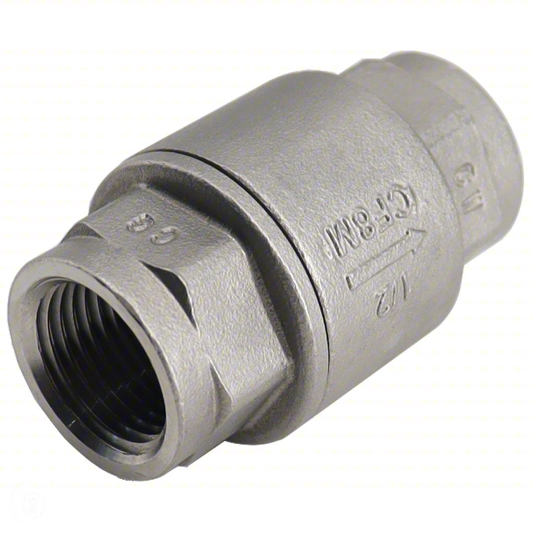 Guardian Worldwide 06H021N01212 Check Valve: 2-1/2in Pipe Size - IMS Supply