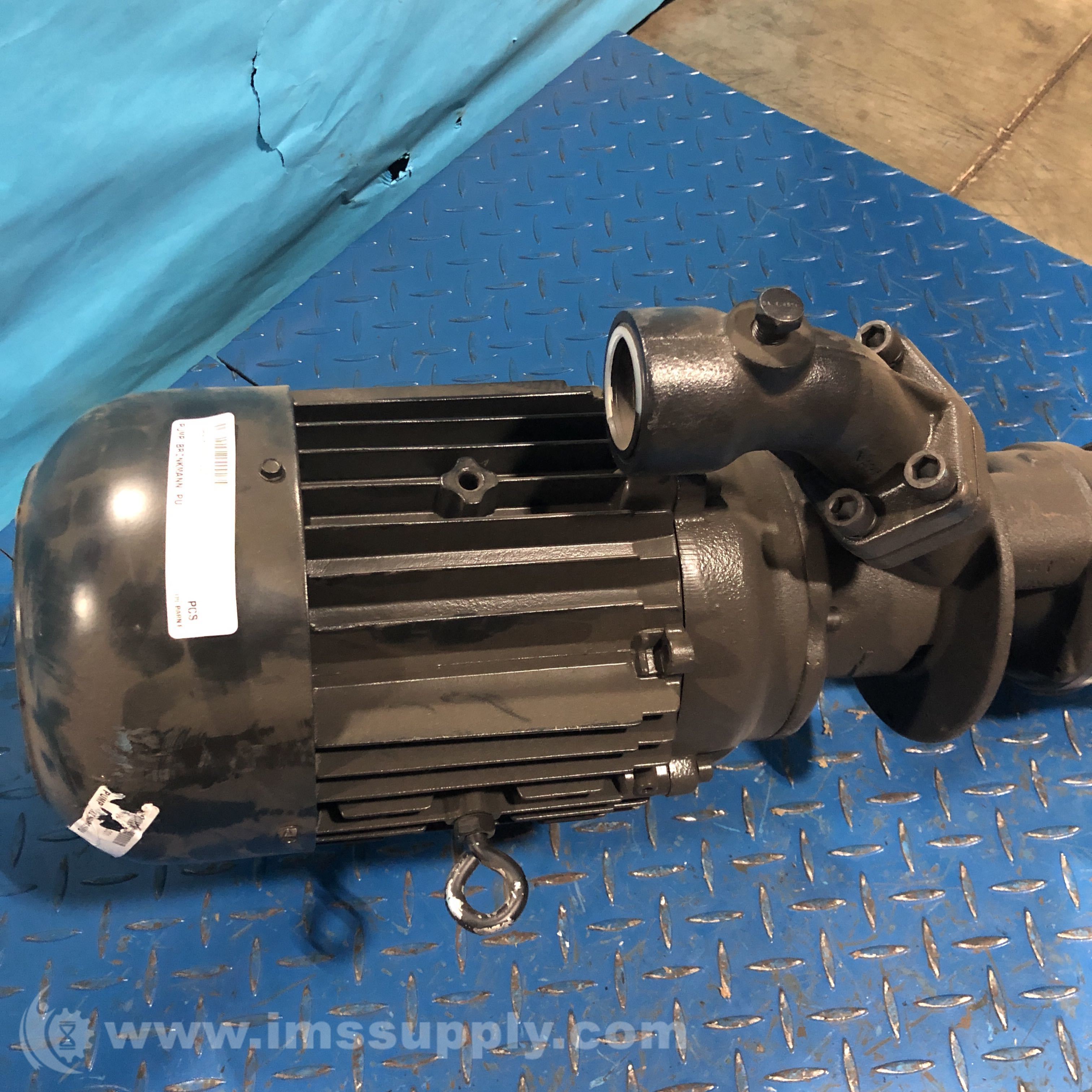 Brinkmann Pumps ZS112085-M+250 Coolant Immersion Pump - IMS Supply